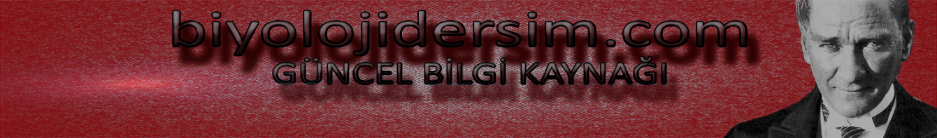 BİYOLOJİDERSİM Ekosistemi Etkileyen Abiyotik Faktörler-Sıcaklık